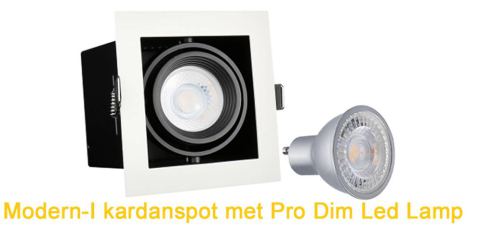 De 'Spot' in de spotlight! - Blog
